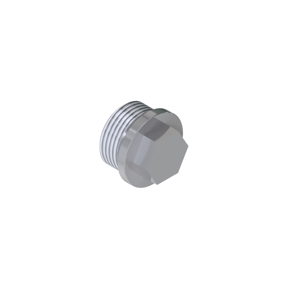 HEXAGON PLUG G1" 316 DIN 910 | 040033110014